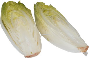 Witlof Bewaren - Bewaarwijzer