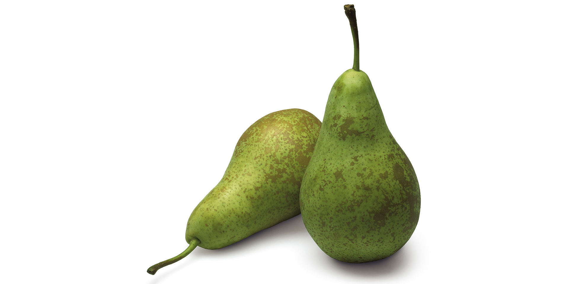 Peren bewaren - Bewaarwijzer